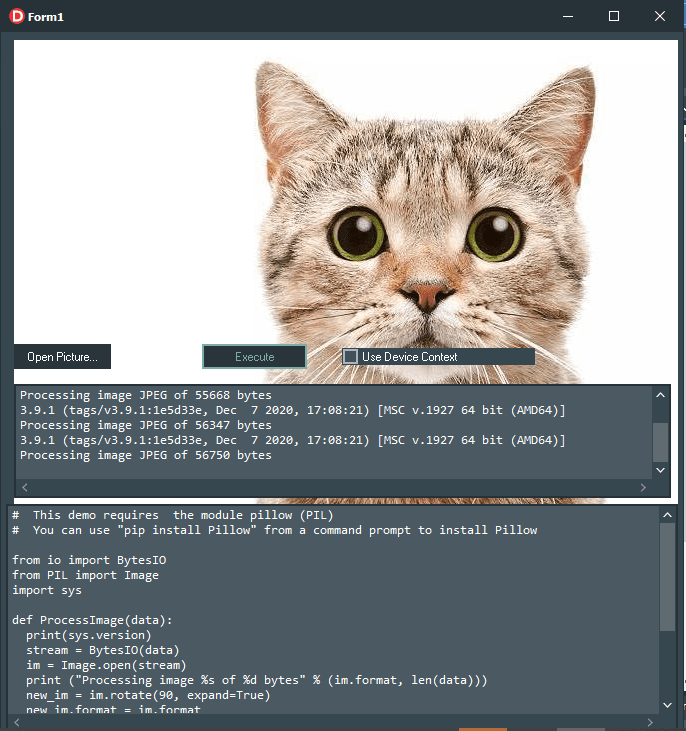 Python Gui Python For Delphi Vcl Vs Wxpython